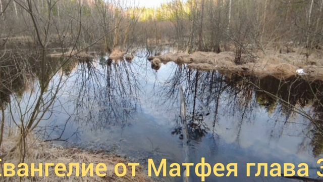 Библия Евангелие от Матфея глава 3