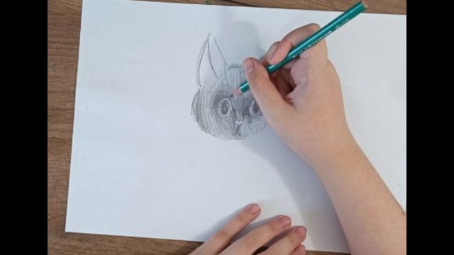 Рисунок карандашом - котенок с бабочкой