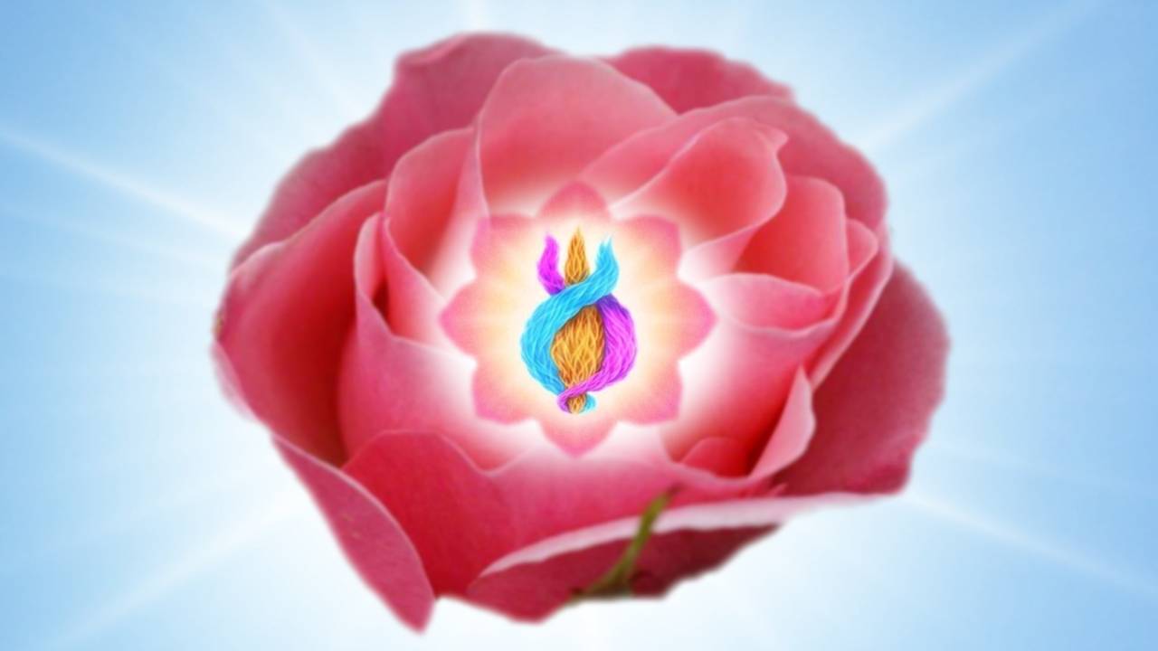 Воскресная служба: "144000 оттенков любви"