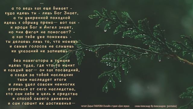 А просто правда не в чести 230912 Дарья ПАВЛОВА Онлайн-студия «Дом звука»