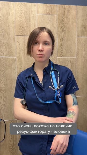 Сколько групп крови у животных