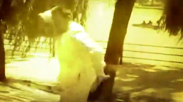 Masters of Bagua Zhang