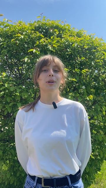 Любимые пословицы наших студентов