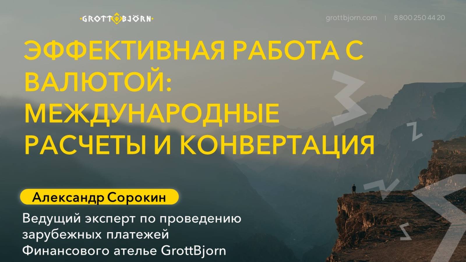 Эффективная работа с валютой: международные расчеты и конвертация