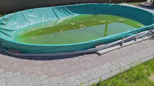 Зеленый бассейн после зимней консервации. Чистим.