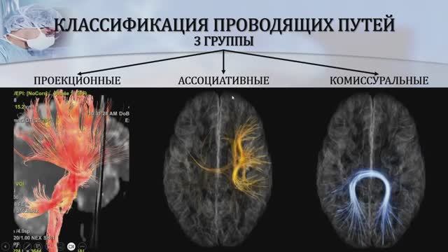 1. ВИДЕОУРОК - ОБЩЕЕ СТРОЕНИЕ И КЛАССИФИКАЦИЯ ПРОВОДЯЩИХ ПУТЕЙ