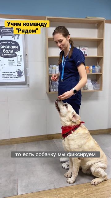 Команда "Рядом"