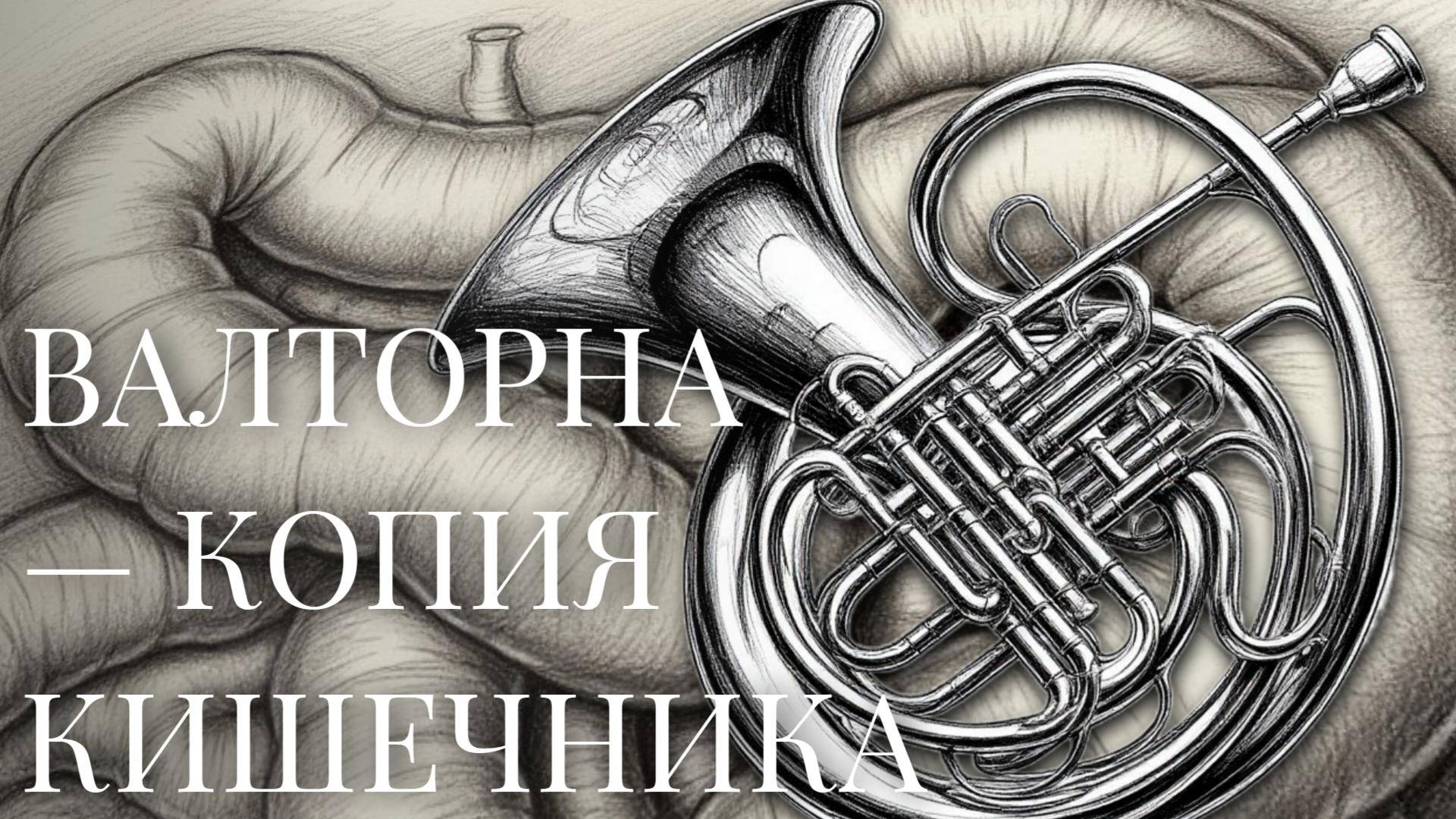 19. Валторна – копия кишечника