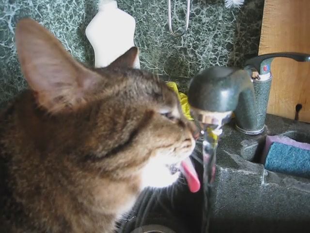 О жажде в летний день.