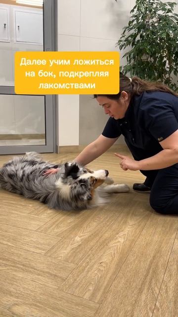 Учим команду Усни