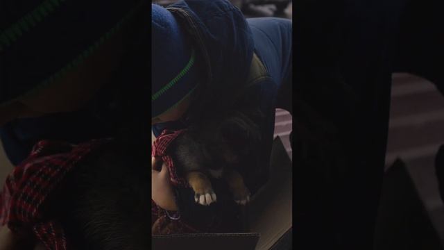 Не используйте ребенка как оружие