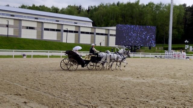 Эквирос 2025_18