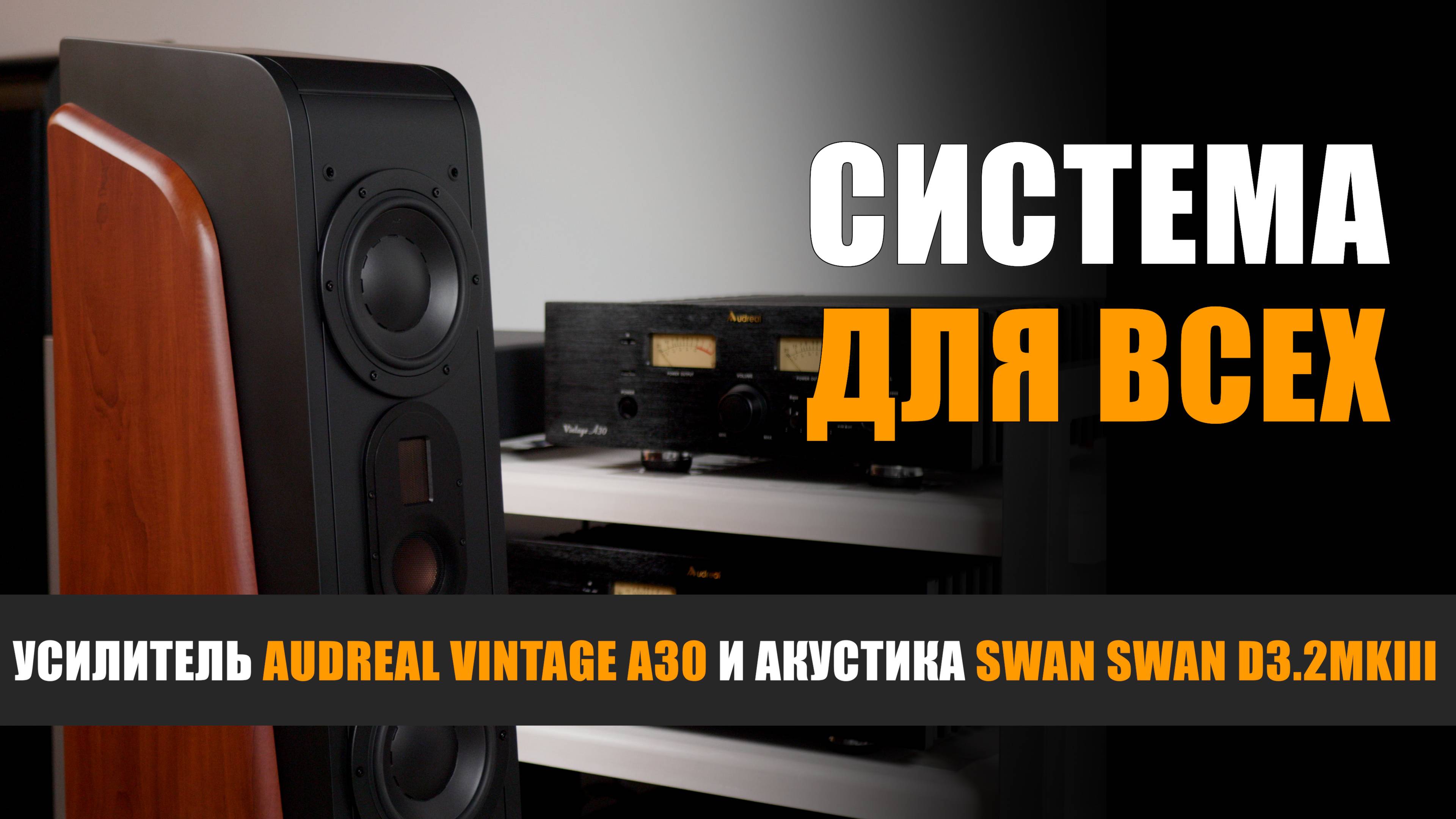 Система для всех. Обзор акустики Swan D3.2 MKIII и усилителя Audreal Vintage A30 от НАУМОВ 2.0