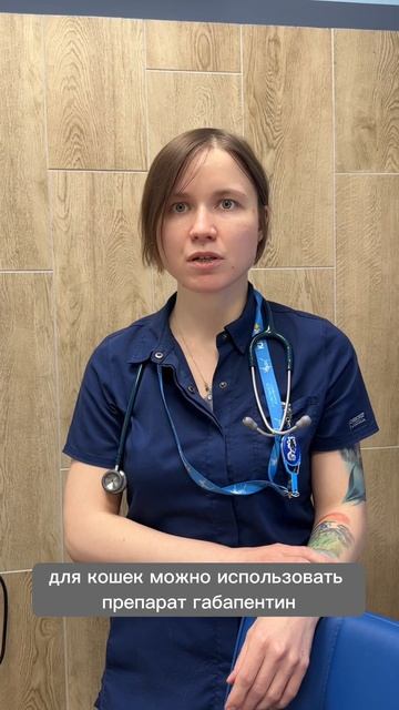 Мой питомец сильно переживает при визитах в клинику, не вредно быть донором?