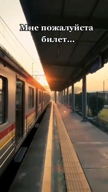 scene_output.mp4
