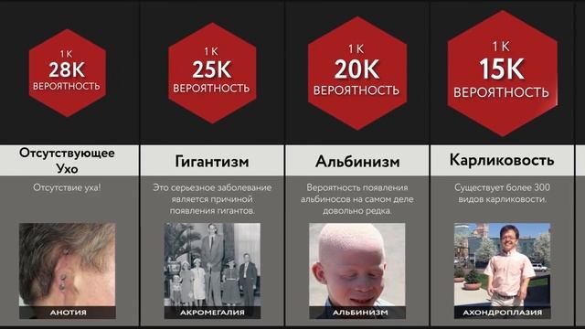 Сравнение_ Мутации Тела