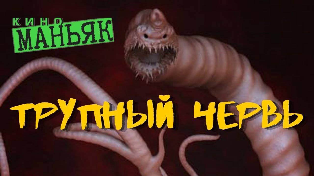 ТРУПНЫЙ ЧЕРВЬ. Самый ТОШНОТНЫЙ треш