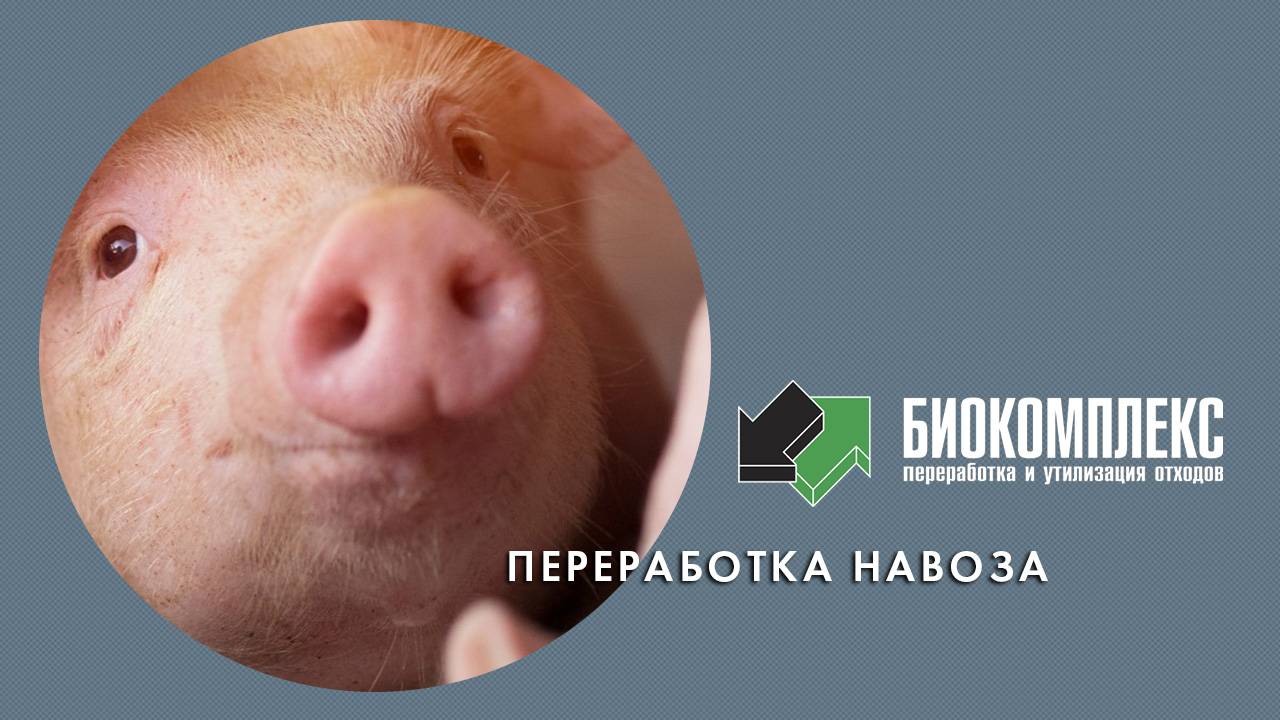 Переработка навоза
