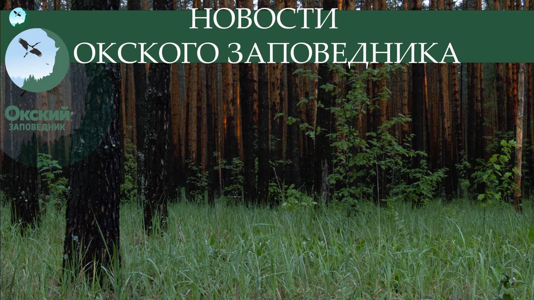 Новости с Марией Панковой от 6 июня 2025 г.