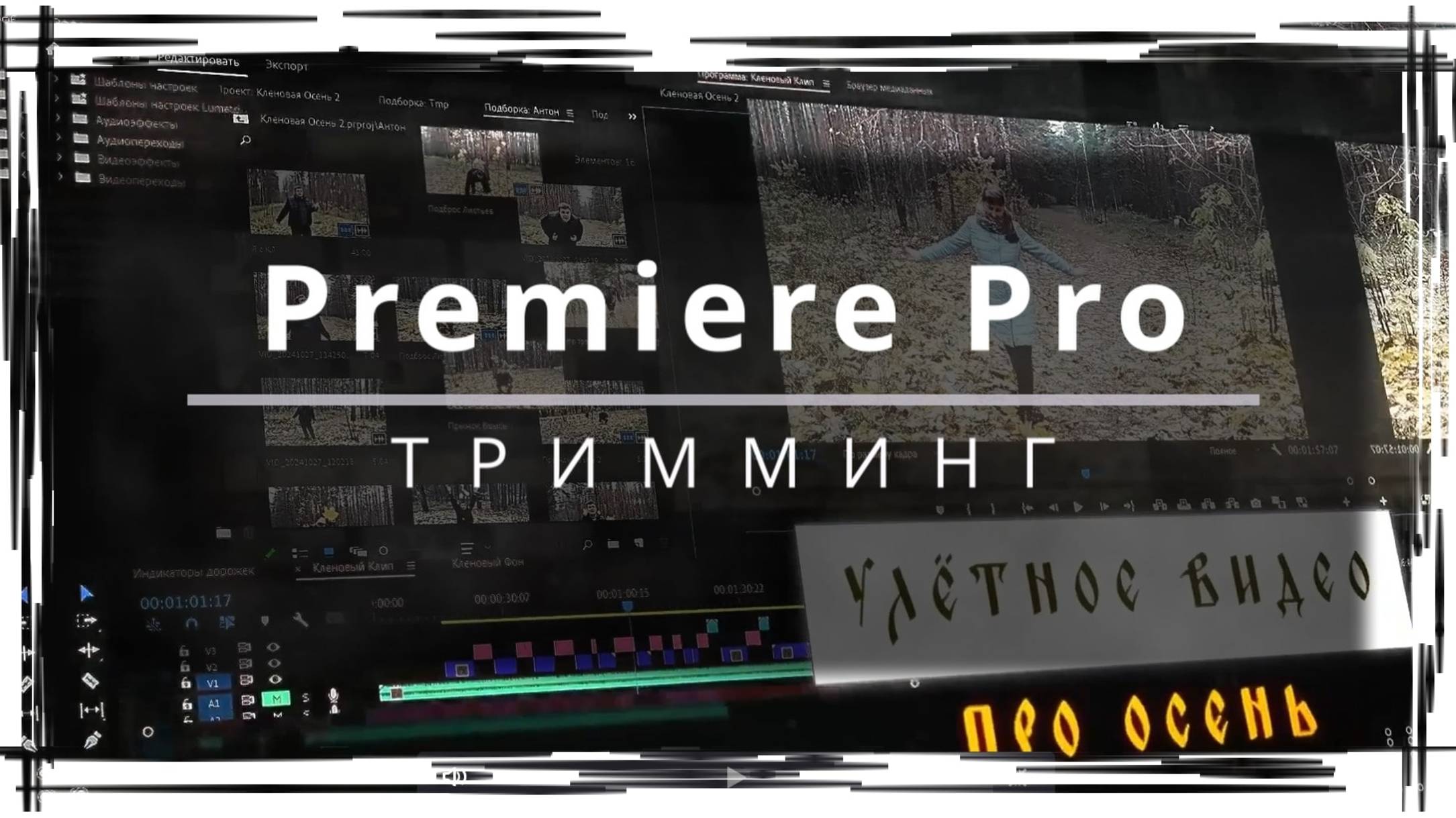 005. Adobe Premiere Pro. Работа с таймлинией. Тримминг