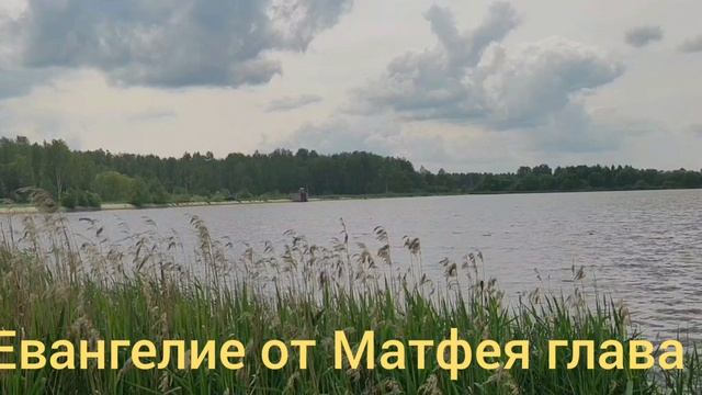 Библия Евангелие от Матфея глава 8