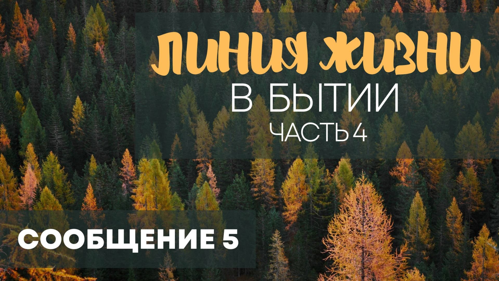 Сообщение 5 | Самое яркое проявление зрелости