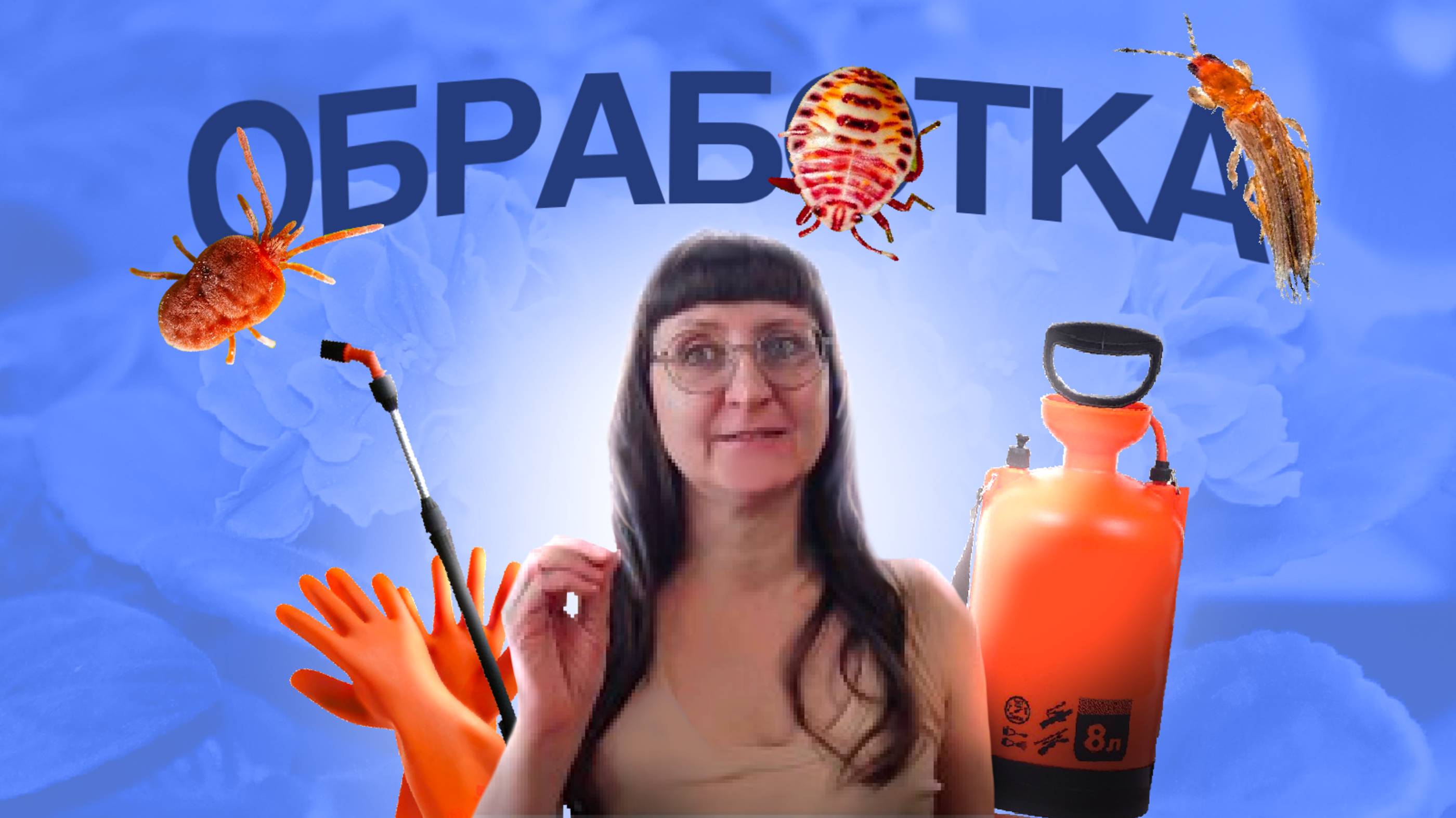 Золотое правило обработки комнатных растений