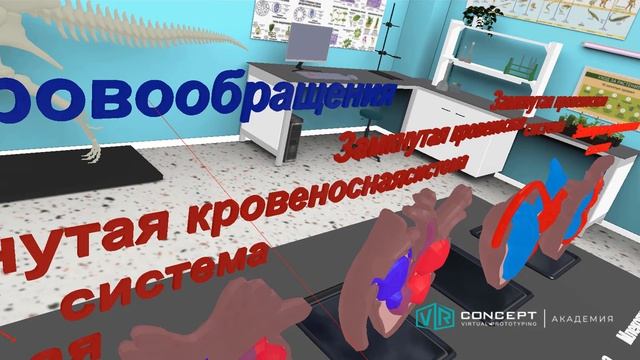 Эволюция кровеносной системы - VR урок по биологии