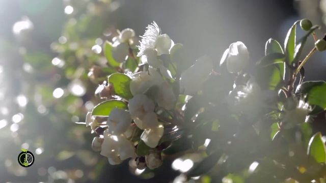 Искусство Внешней Алхимии. Часть 1. Введение