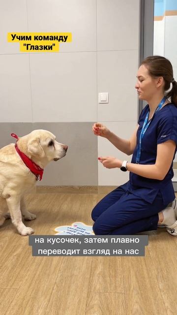 Команда "Глазки"