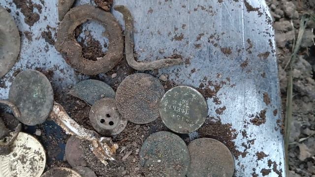 Находок куча