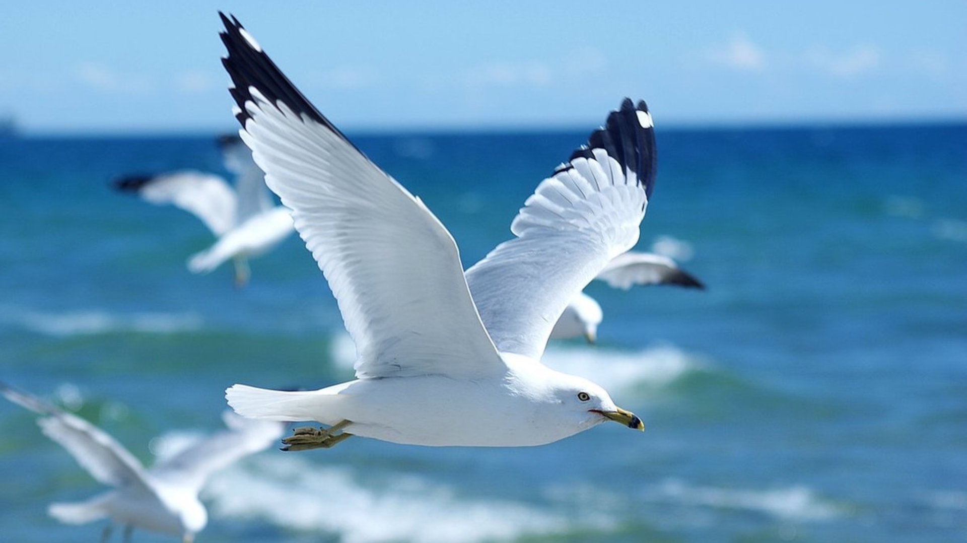 #топыкатегорий #Поездка к морю. 216 км, пути. Подъезжаем👍