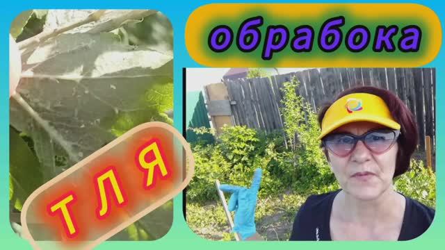 Тля на плодовых деревьях. Опилки для грядок.