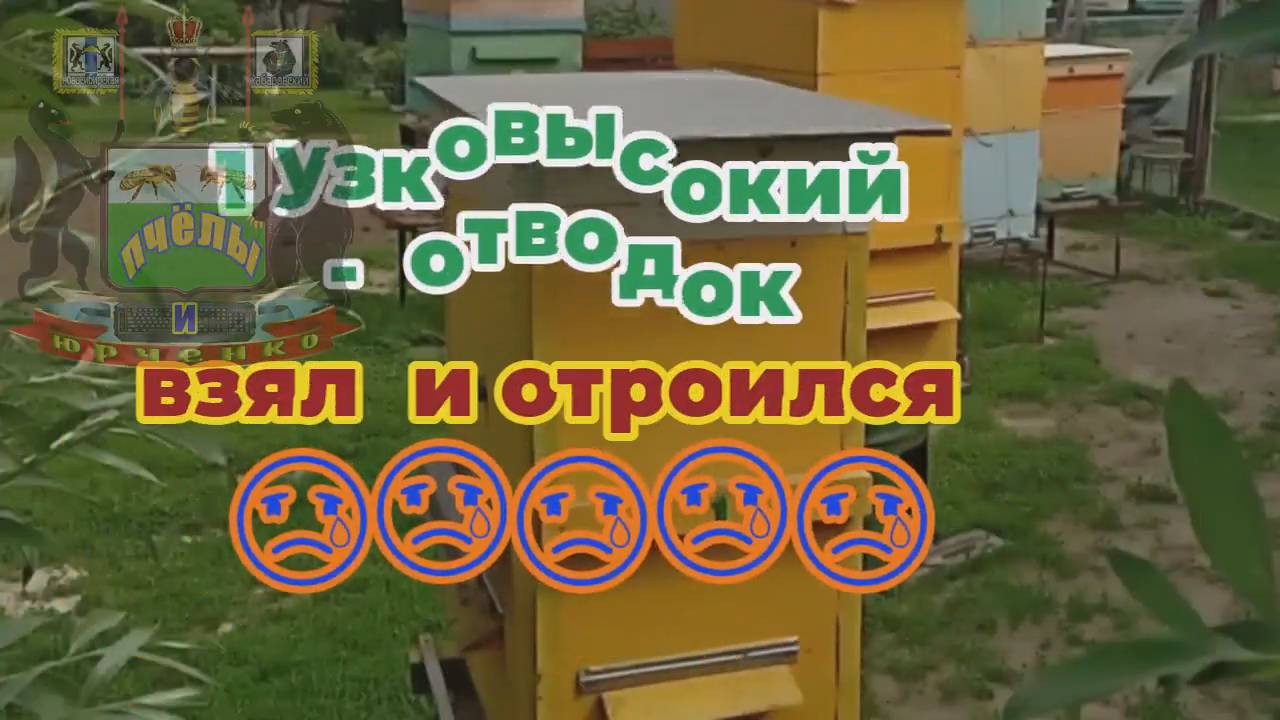 Отводок - узко высокий улей 👉  ОТРОИЛСЯ