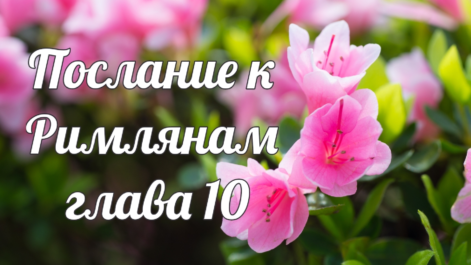 Послание к Римлянам глава 10