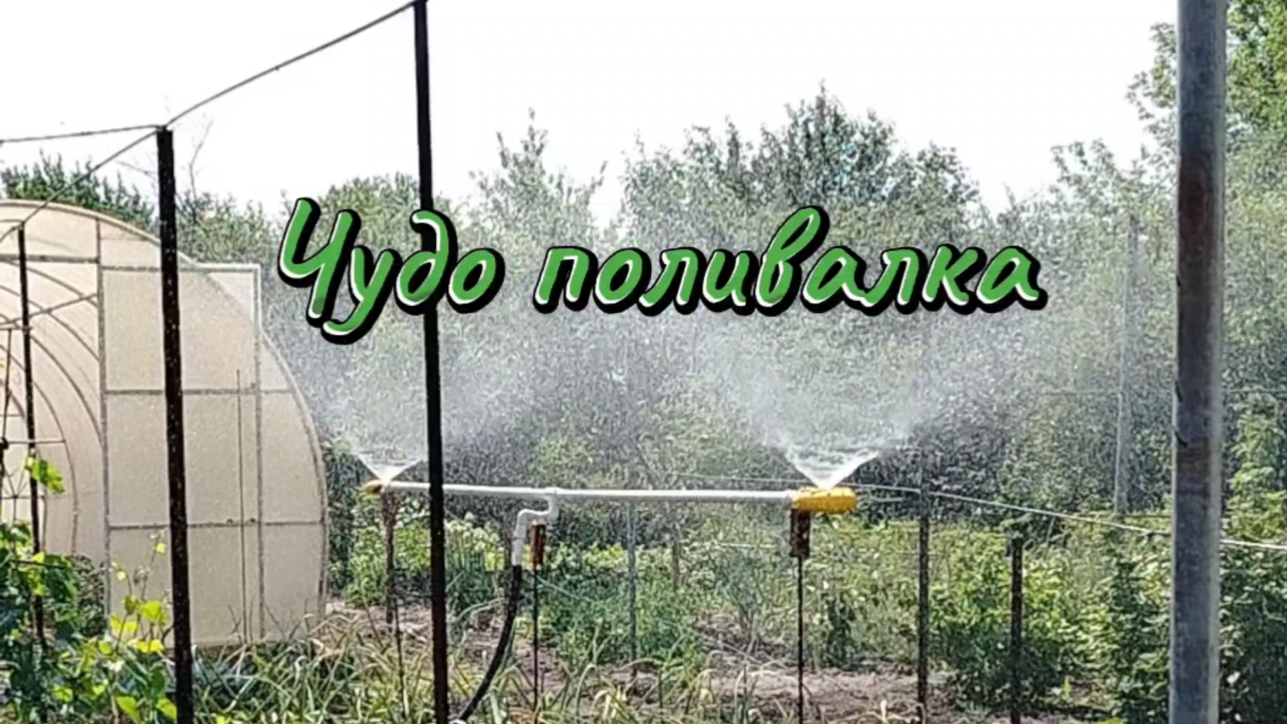 Чудо поливалка