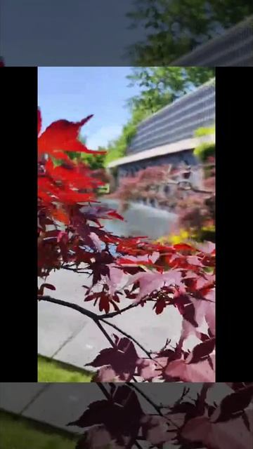 Красиво, красиво, красиво Краснодар.