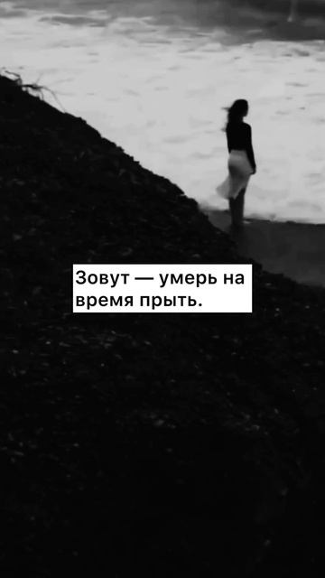 scene_output.mp4