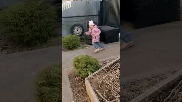 Кто последний тот Богдан