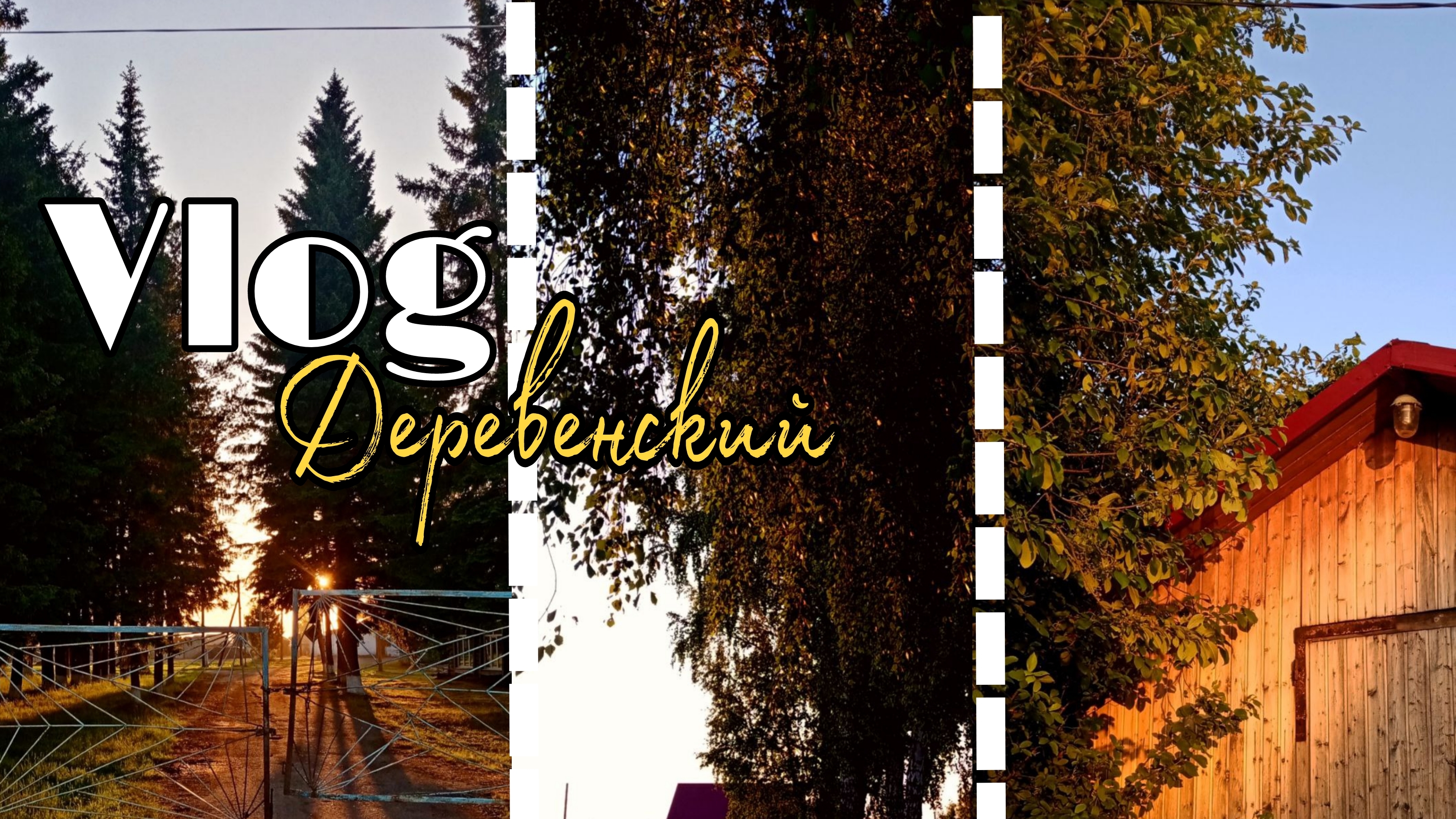 Vlog: Деревенский || Посадили помидоры, лук,картошку