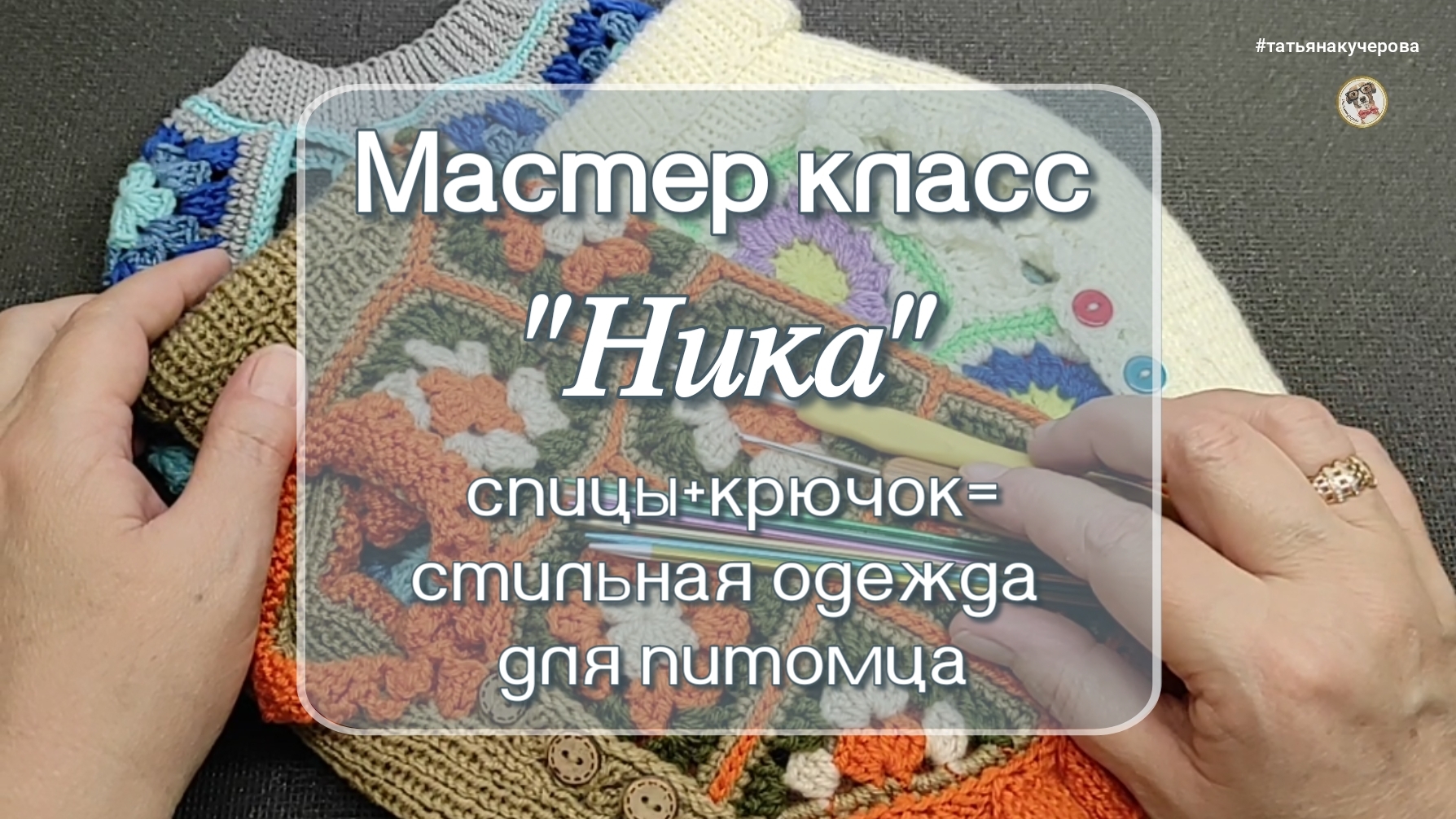 Мастер-класс «Ника»: Спицы + Крючок = Стильный образ для питомца! 🐶✨