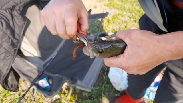 Выкроили утром пару часов на лёгкую летнюю рыбалочку!
