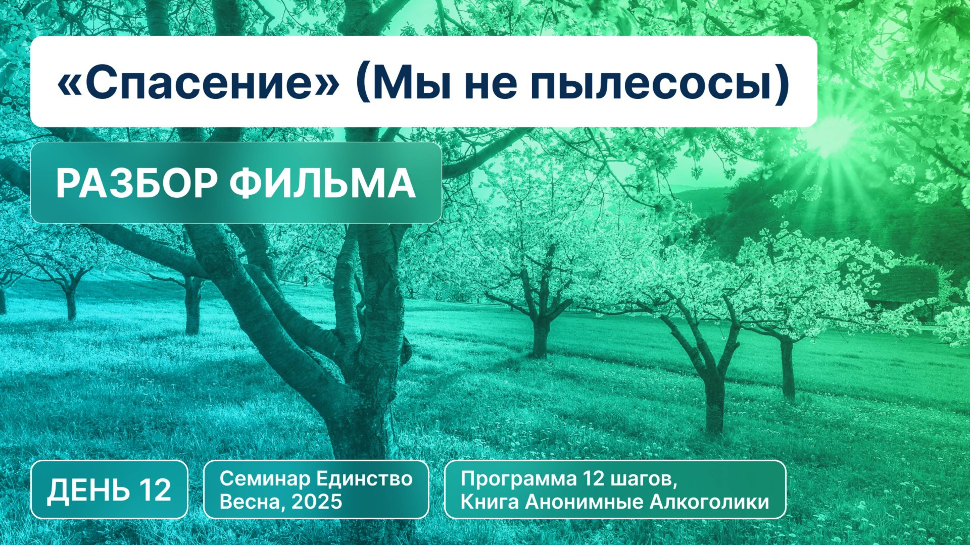 День 12 - Фильм «Спасение»