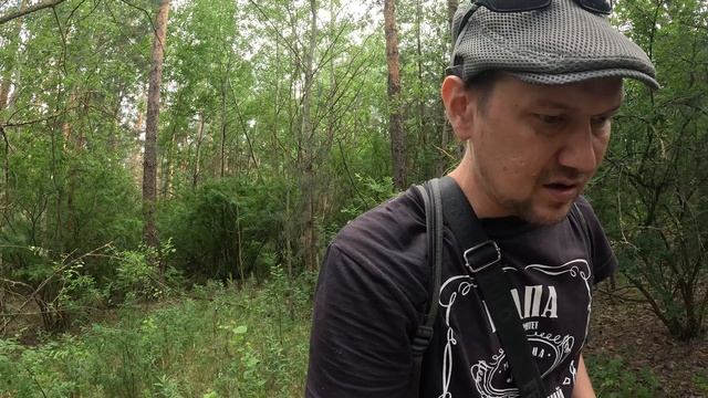 ОТец ищет грибы 1 июня 2025г. ТСЖ и Чешуйчатый