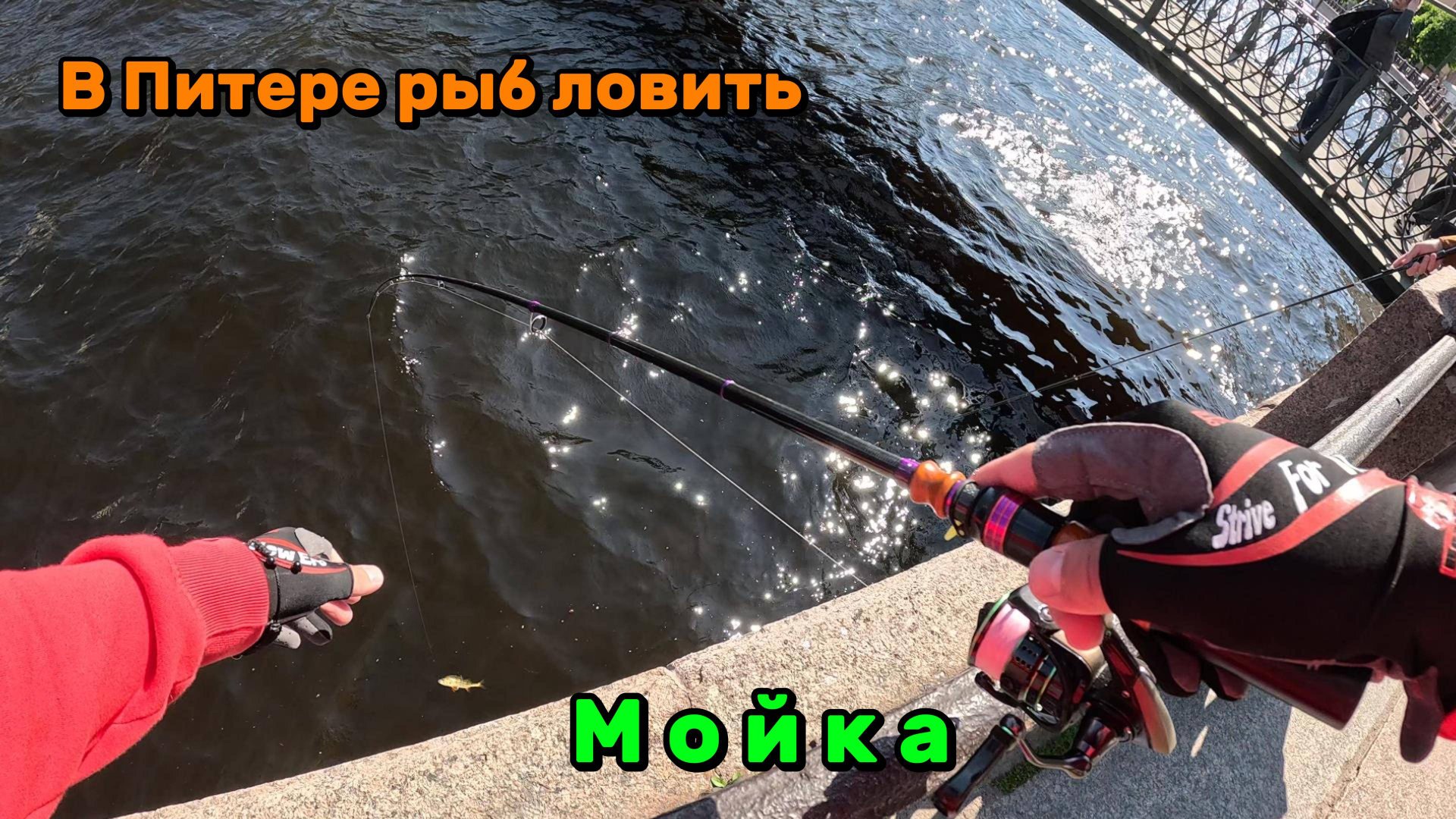 В Питере рыб ловить. Рыбалка в центре города. Река Мойка