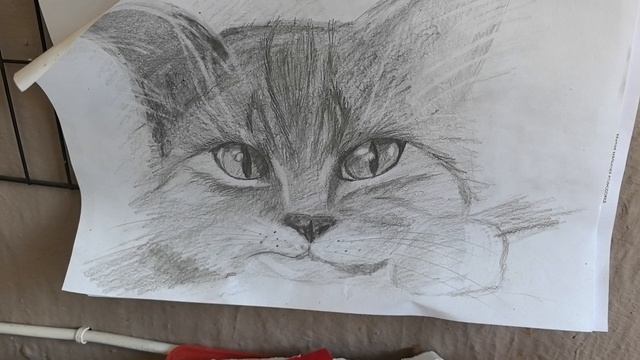 Она купила дом и поменяла свою жизнь. Опять поездка к Анев станицу. Сад подрастает.Клубника спеет.