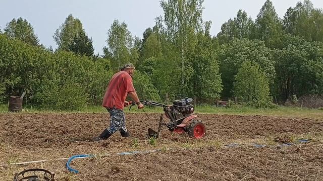 Сажаю картофель с мотоблоком. в этот раз с нюансами.