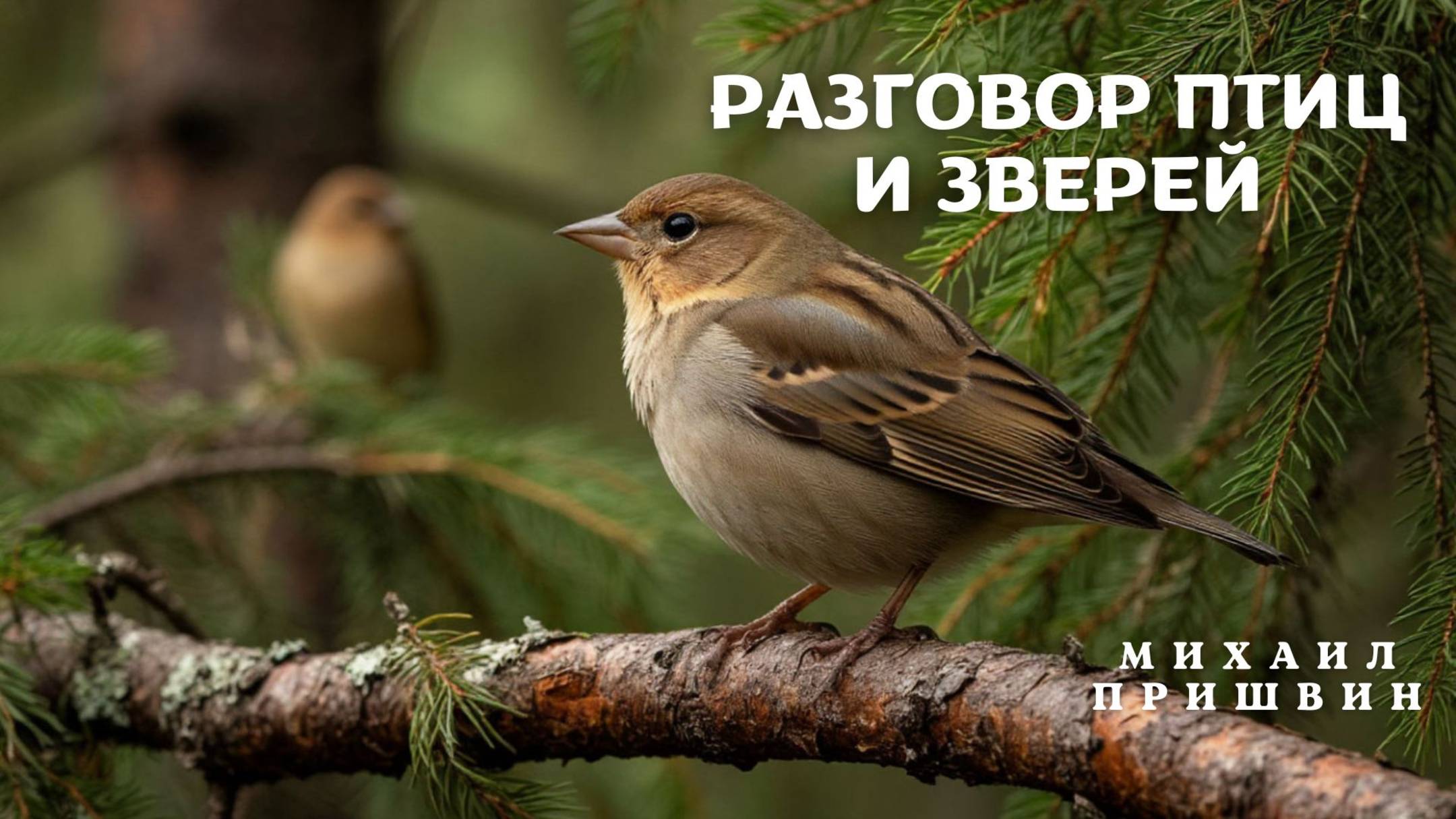Михаил Пришвин РАЗГОВОР ПТИЦ И ЗВЕРЕЙ. Часть 2. Рассказы о животных.