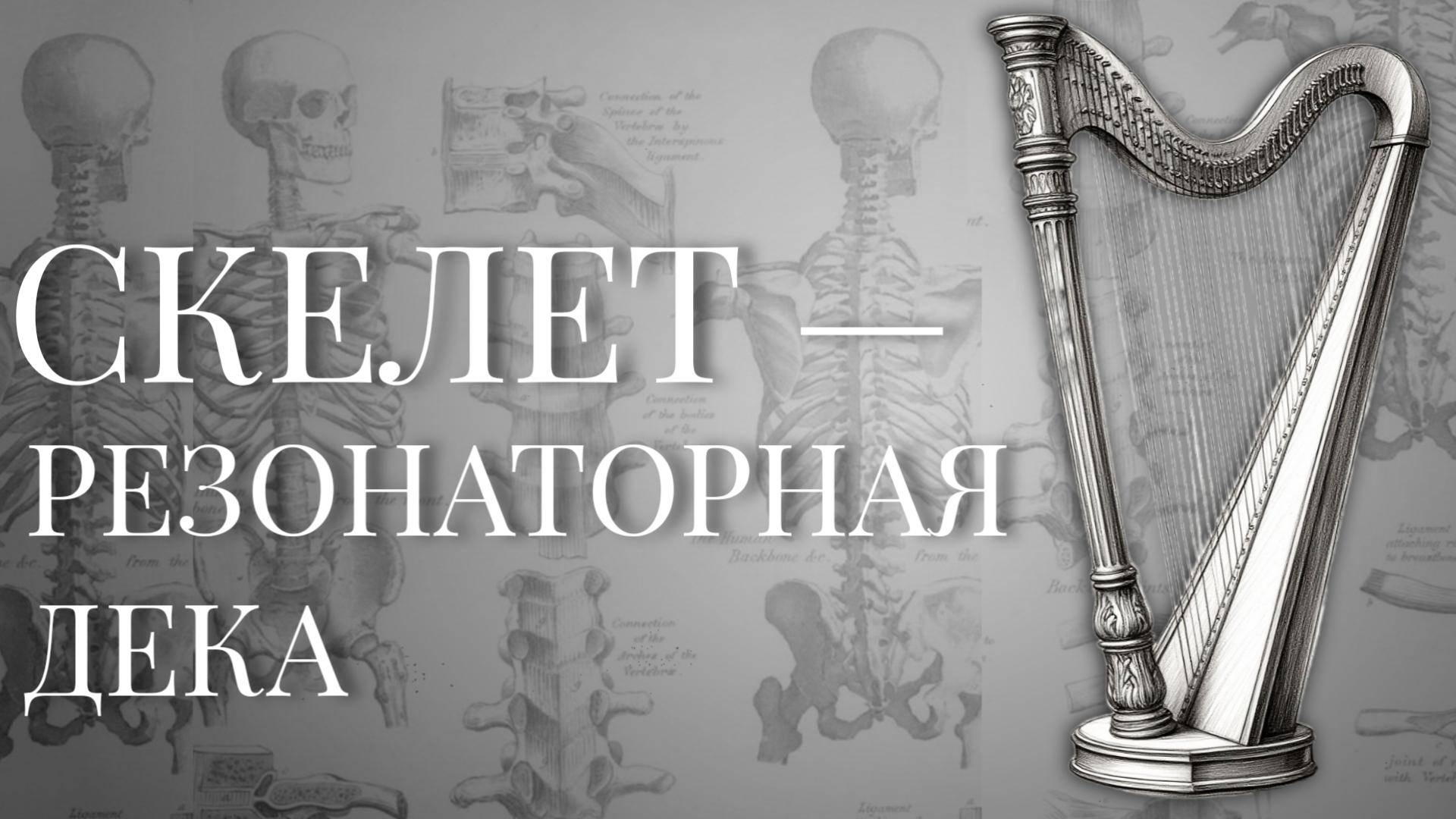 16. Скелет – резонаторная дека