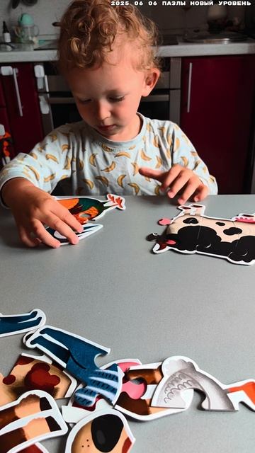 2025 06 06 ПАЗЛЫ НОВЫЙ УРОВЕНЬ 4К.mp4